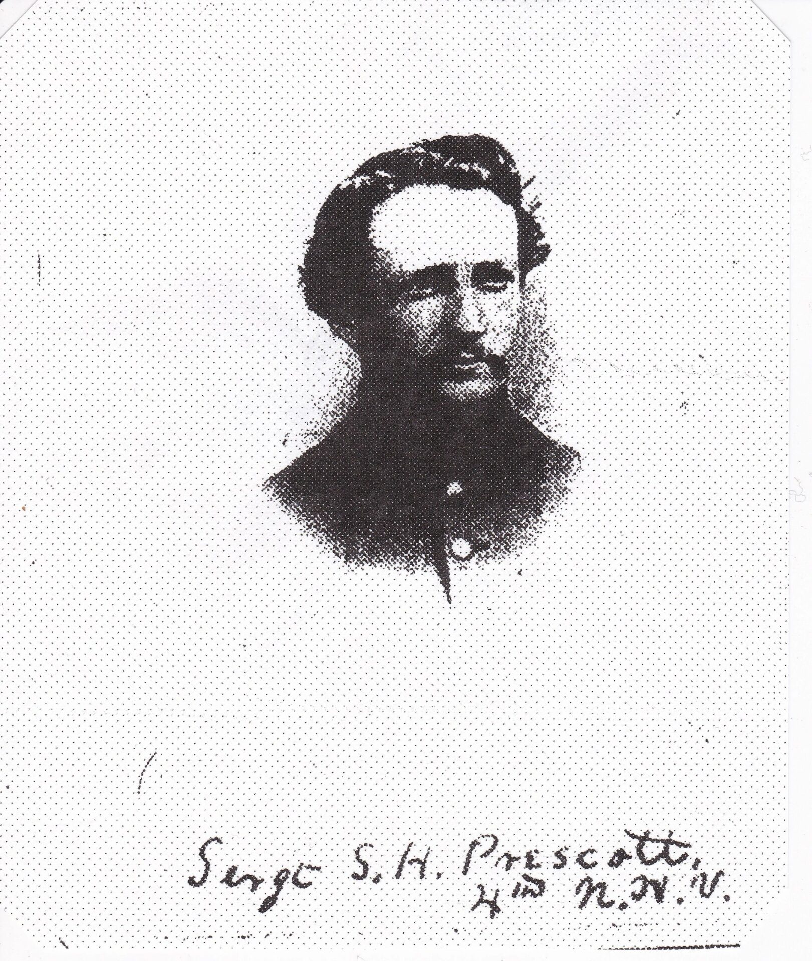 Pen and Ink Palmetto Tree, by Samuel Prescott, New Hampshire Volunteers ...