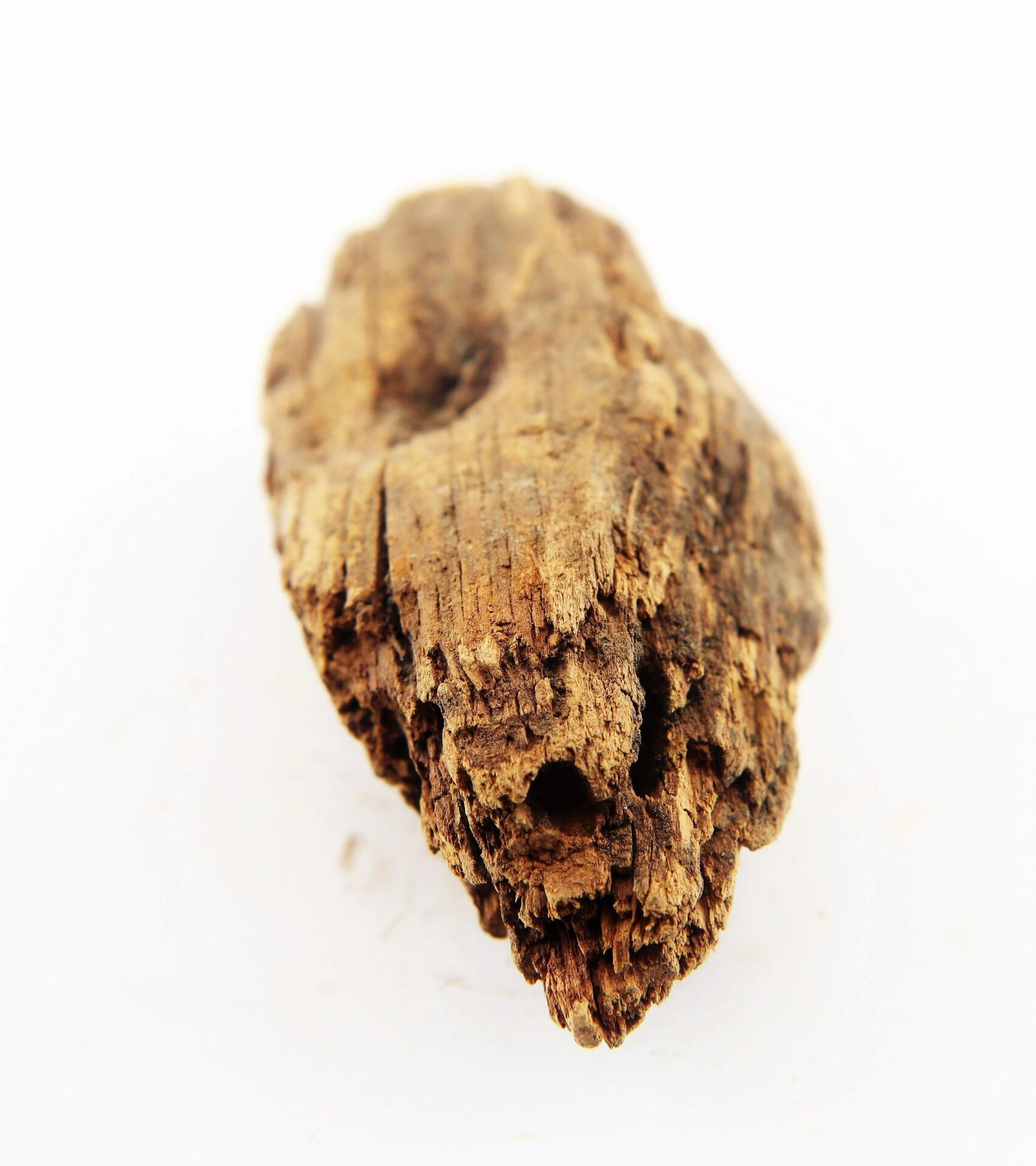 .69 Caliber Musket Ball in Wood from The Battle of Chancellorsville ...